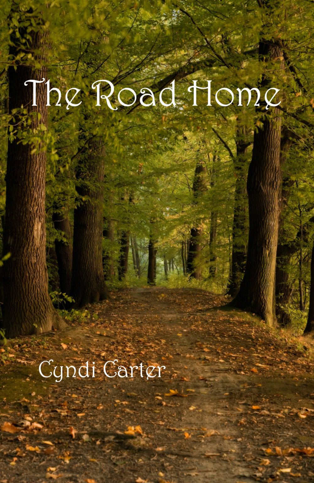 Home - WP The Road Home
